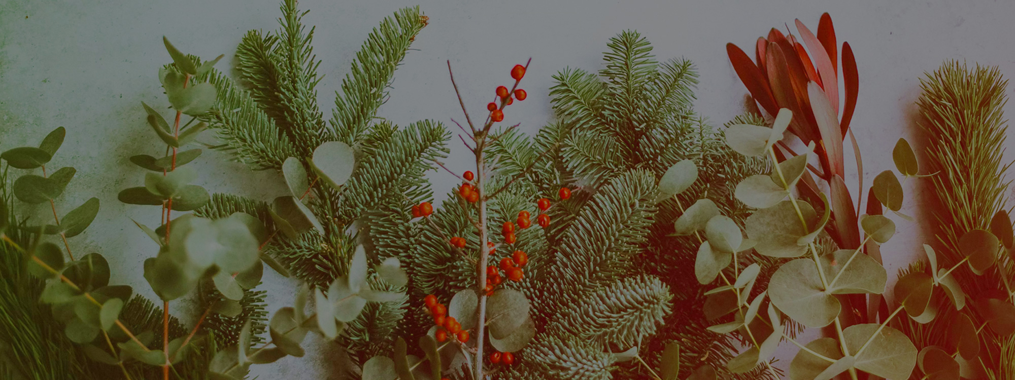 Shinfield Community Church : Registration